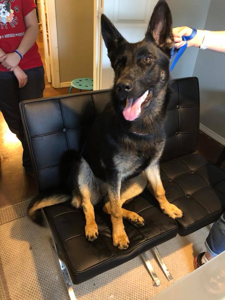 Photo Gallery :: Midlomutthut